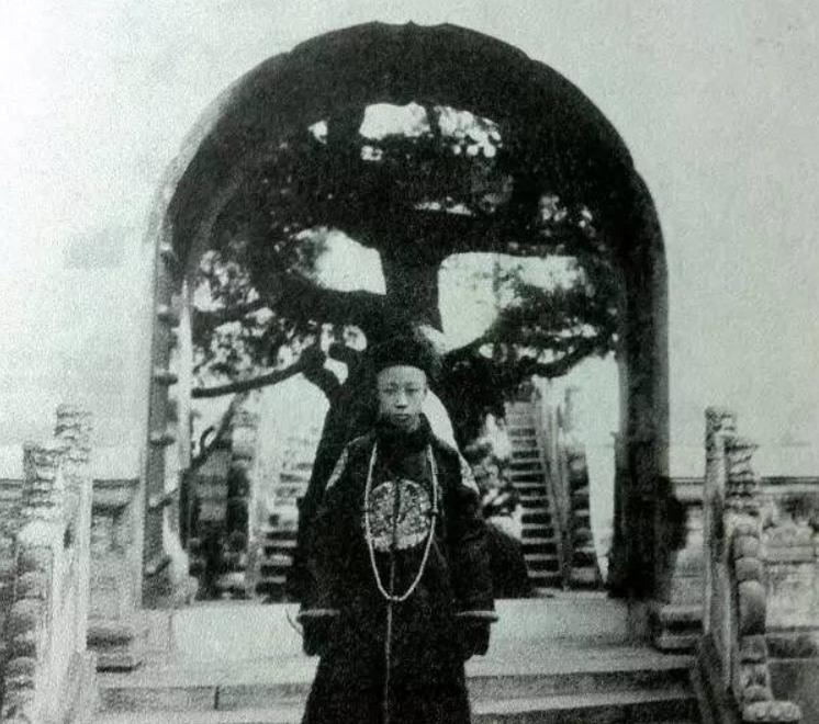 When Puyi was nine years old, he made a request that made the concubine ...