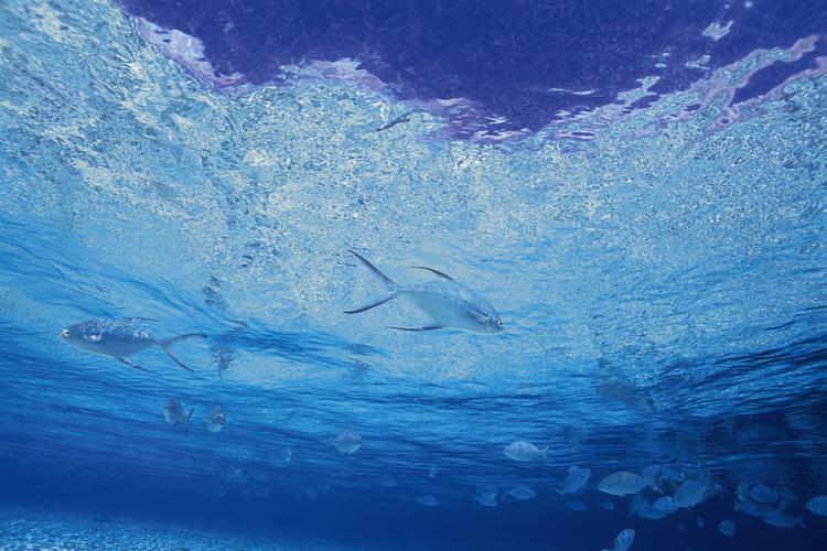 The challenges of deep sea, high mountains and outer space: How will ...