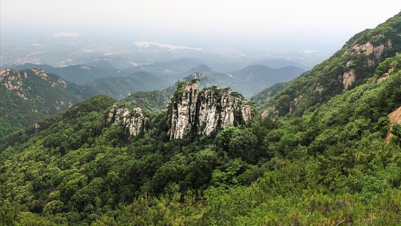 What attractions are there in Linyi Scenic Area?A city with "city tree ...