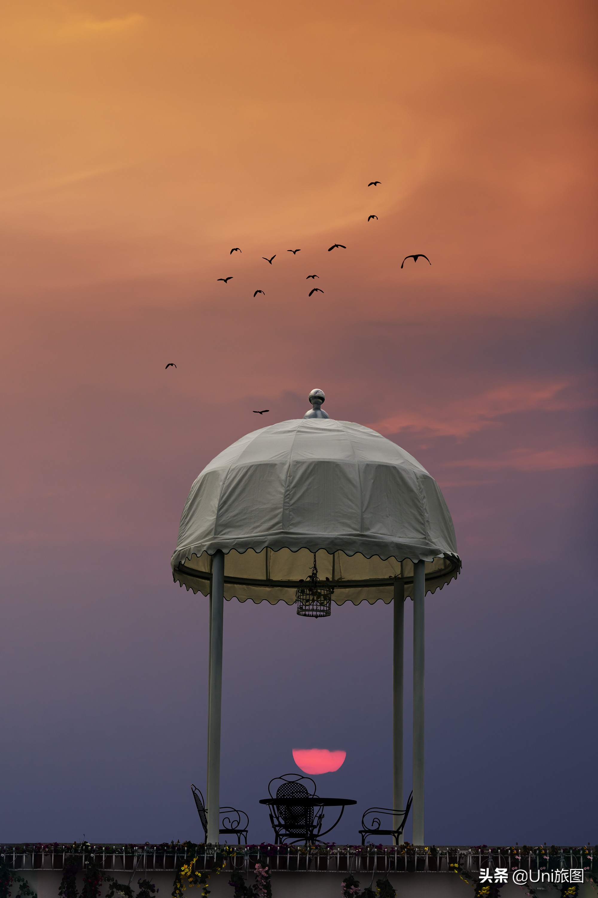 The 80th anniversary of "The Little Prince", leave a place in my heart ...