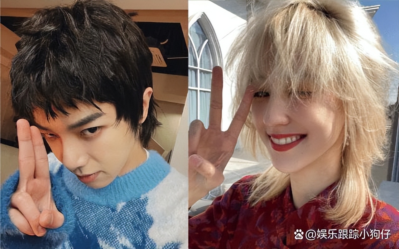 "The Canglan Jue" is promoted without Dan Yin?Wang Yueyi had an affair with Hua Chenyu and made ...