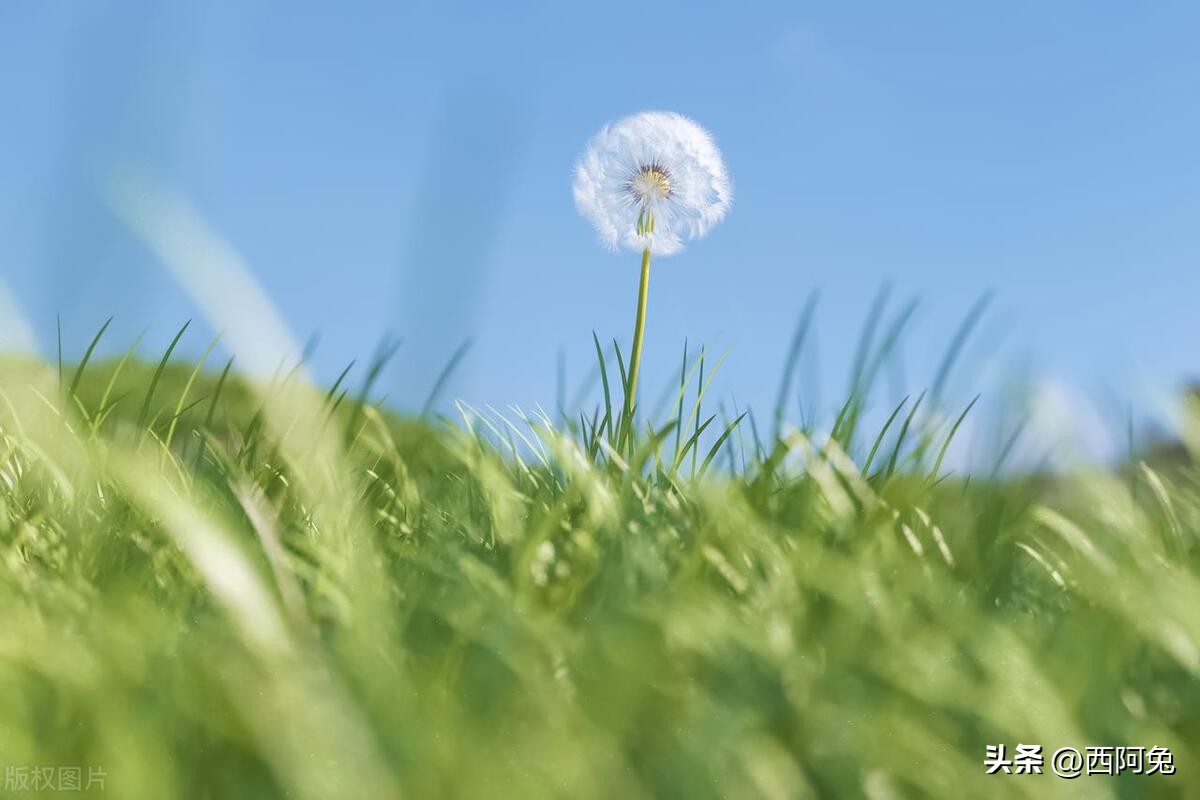 The three most important magic weapons for Virgo - iNEWS