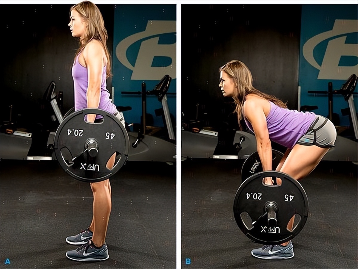 Deadlift: Movement Details, Principles, and Techniques—A Complete Guide ...