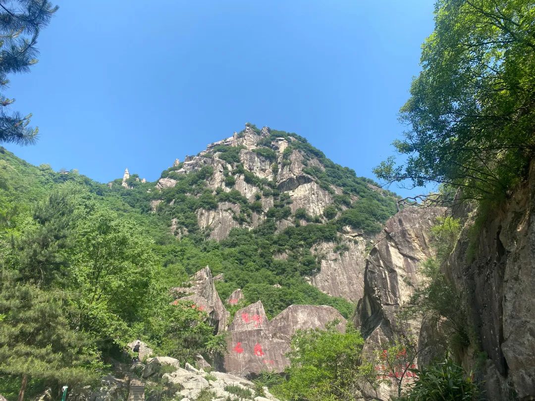 "Practice hard, live up to youth"---Xi'an Seiko Bearing's trip to ...