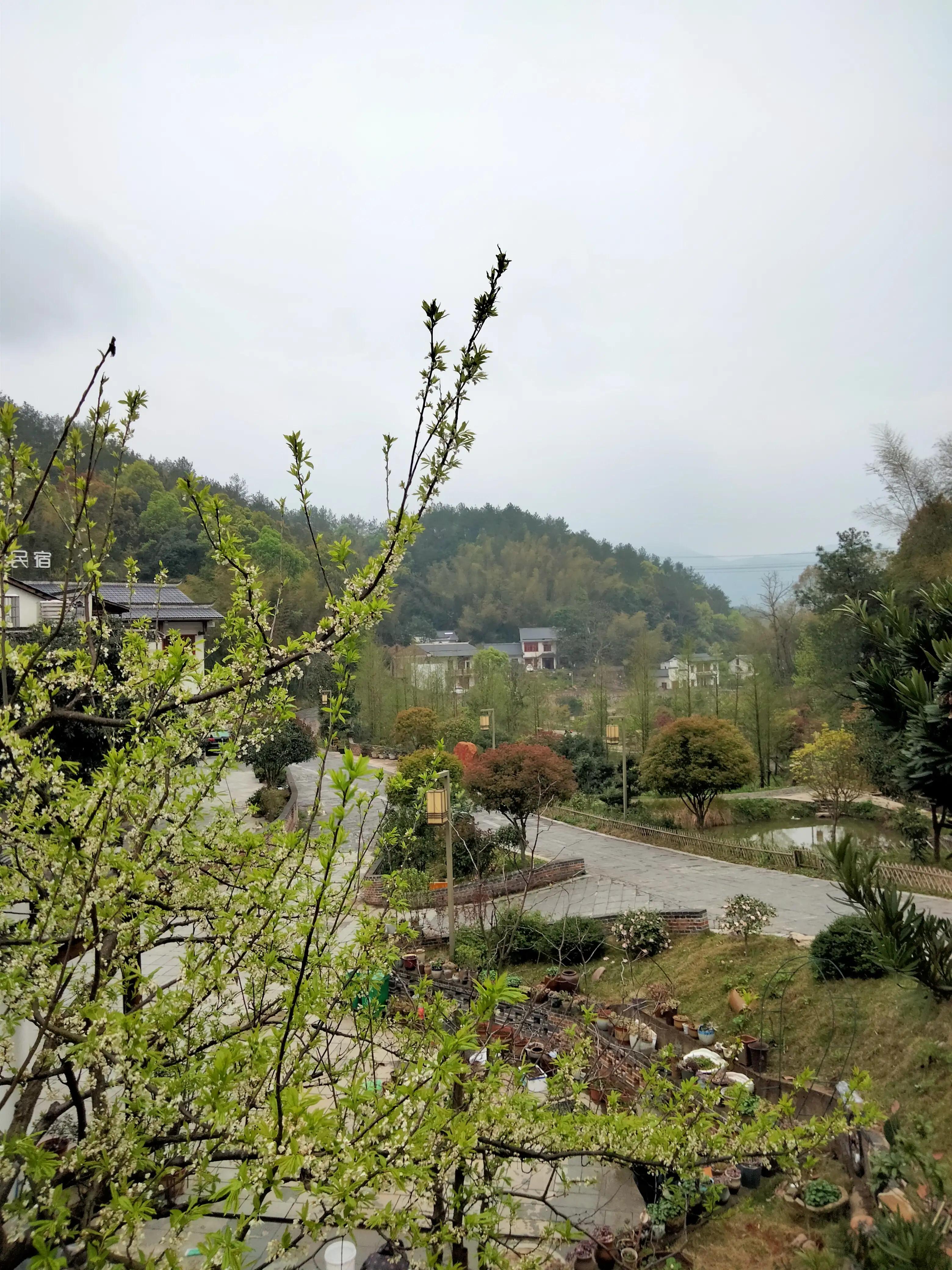 "Chu Tianshu: Changsha Water, Wuchang Fish..." - iNEWS