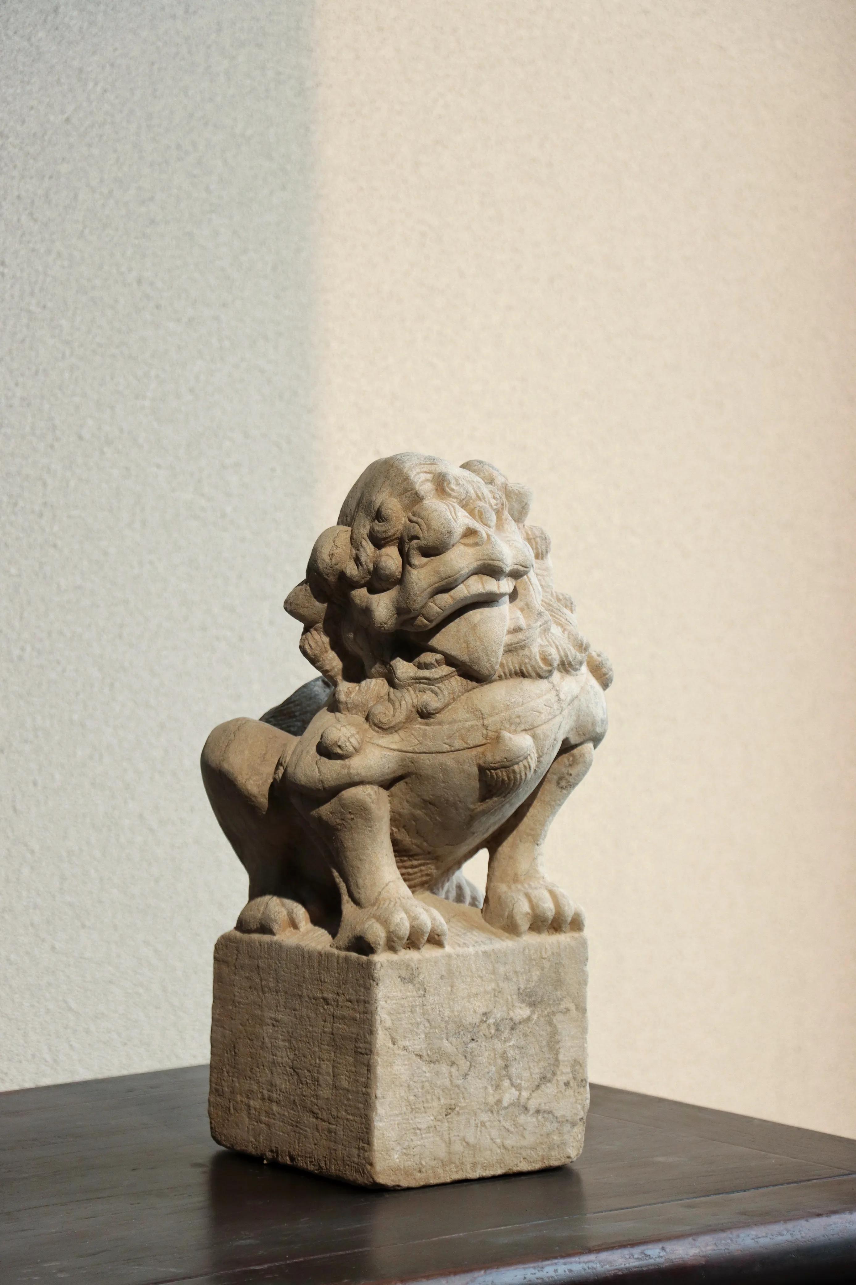 desk lion - iMedia
