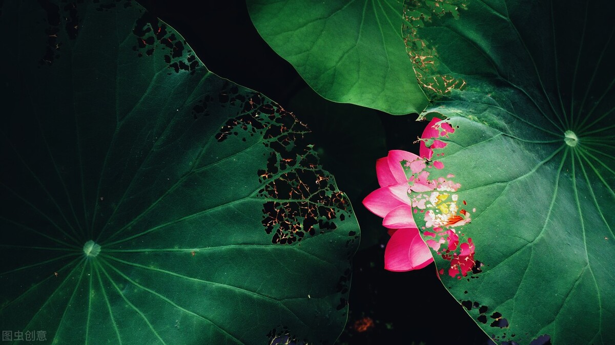 Life is like a dream, the wind passes without a trace, Liu Bingzhong's ...