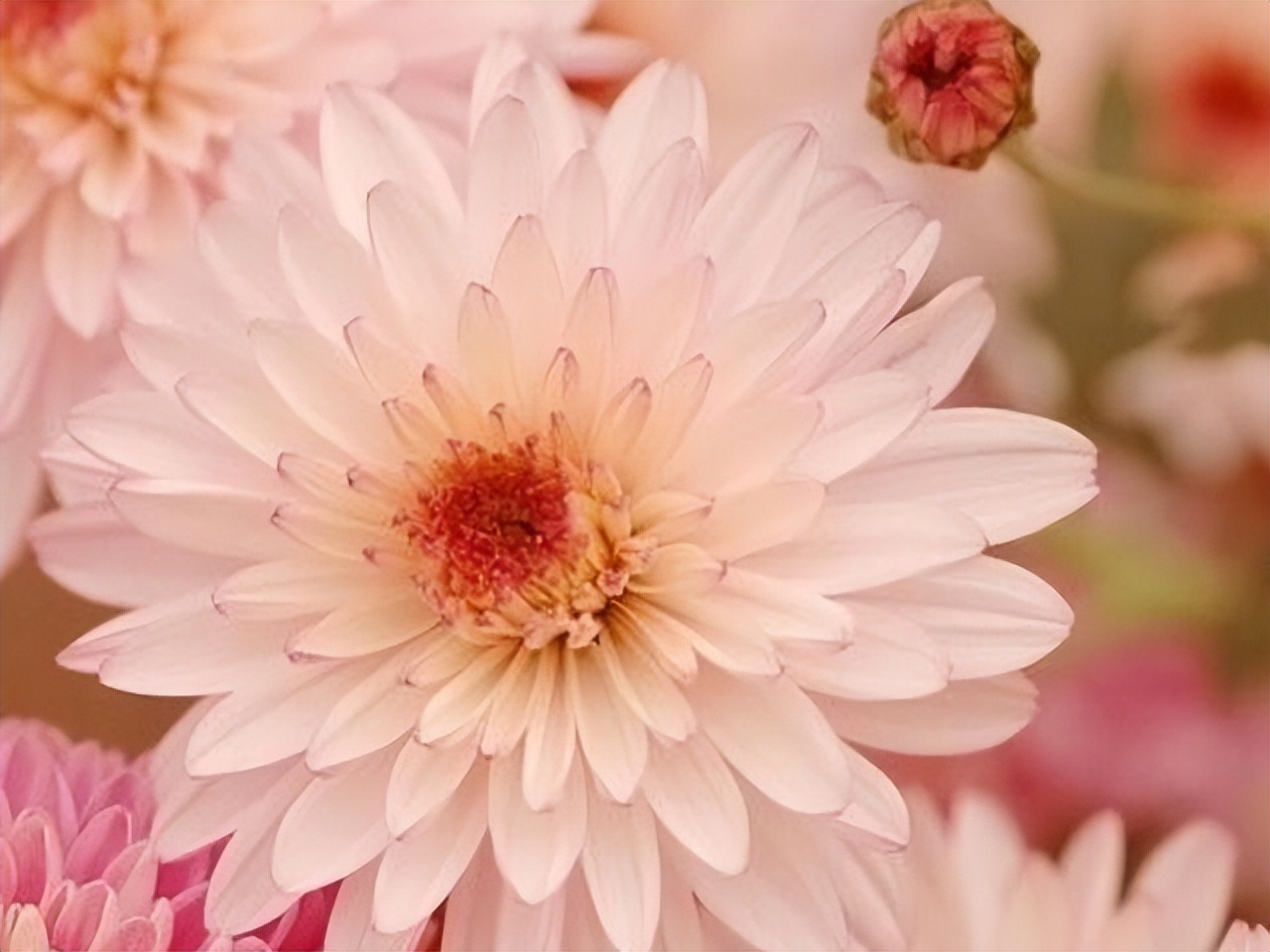 Good at strategy, easy to convince constellation, has an aura that is ...