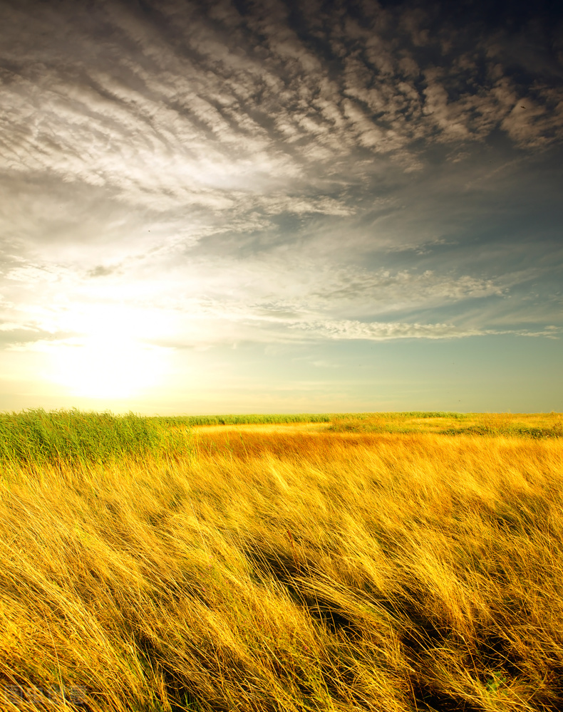 "Notes on Yixue" Revisited the Deuteronomy and the Three Commands and ...