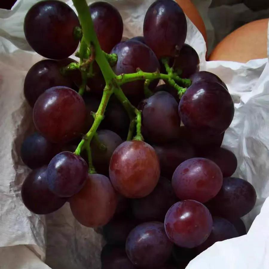 Homemade wine practice - iNEWS