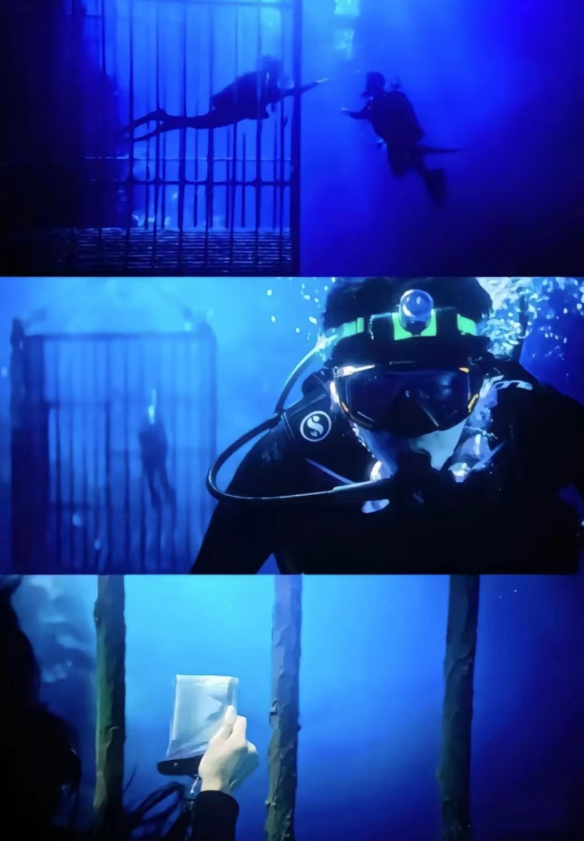 The real case of "She Who Disappeared", the reality is darker than the ...