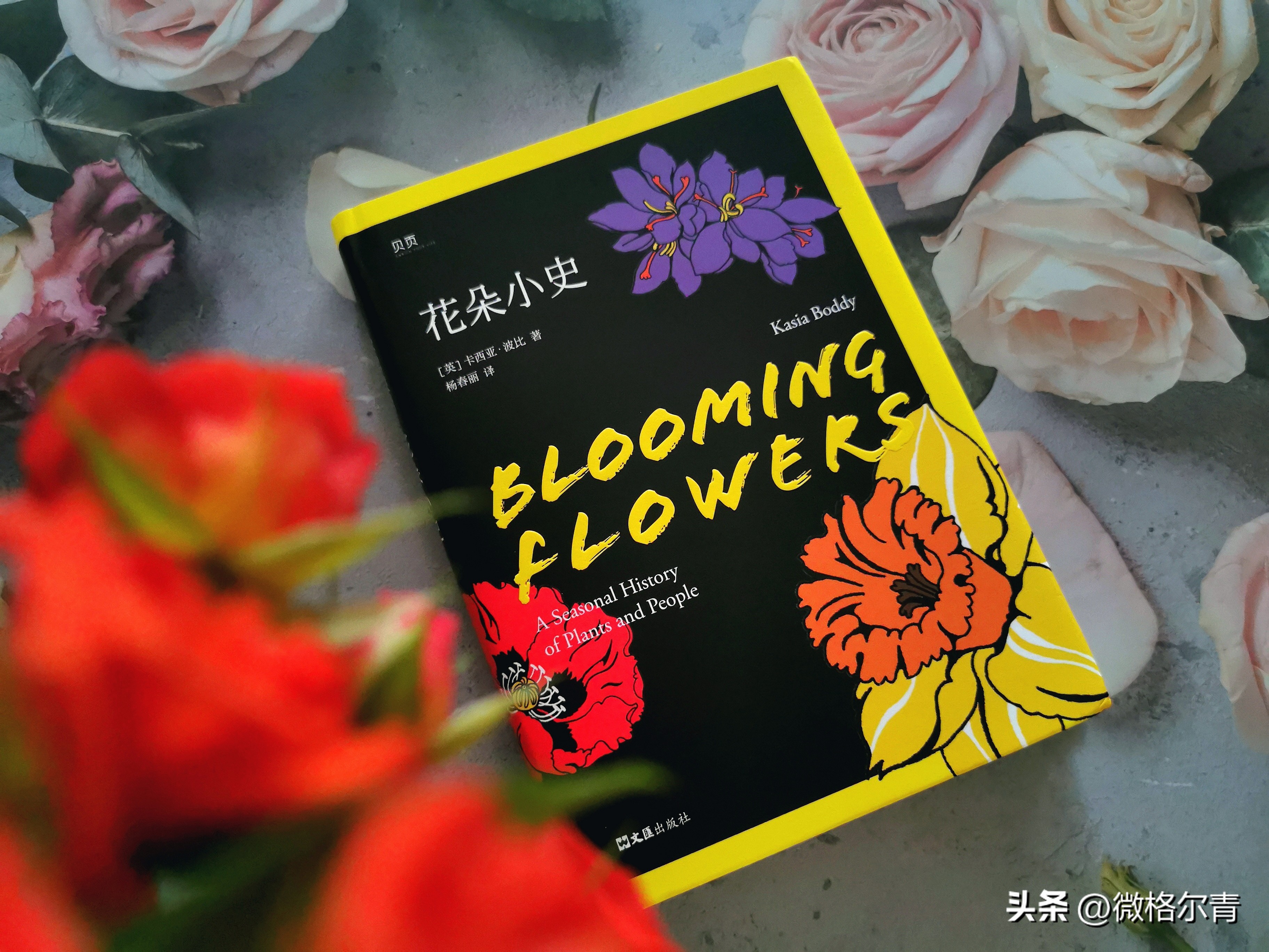 Roses don't just represent love?The historical story of flowers in ...