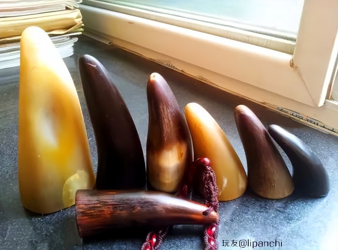 The coiled yak horns are so beautiful! - iNEWS