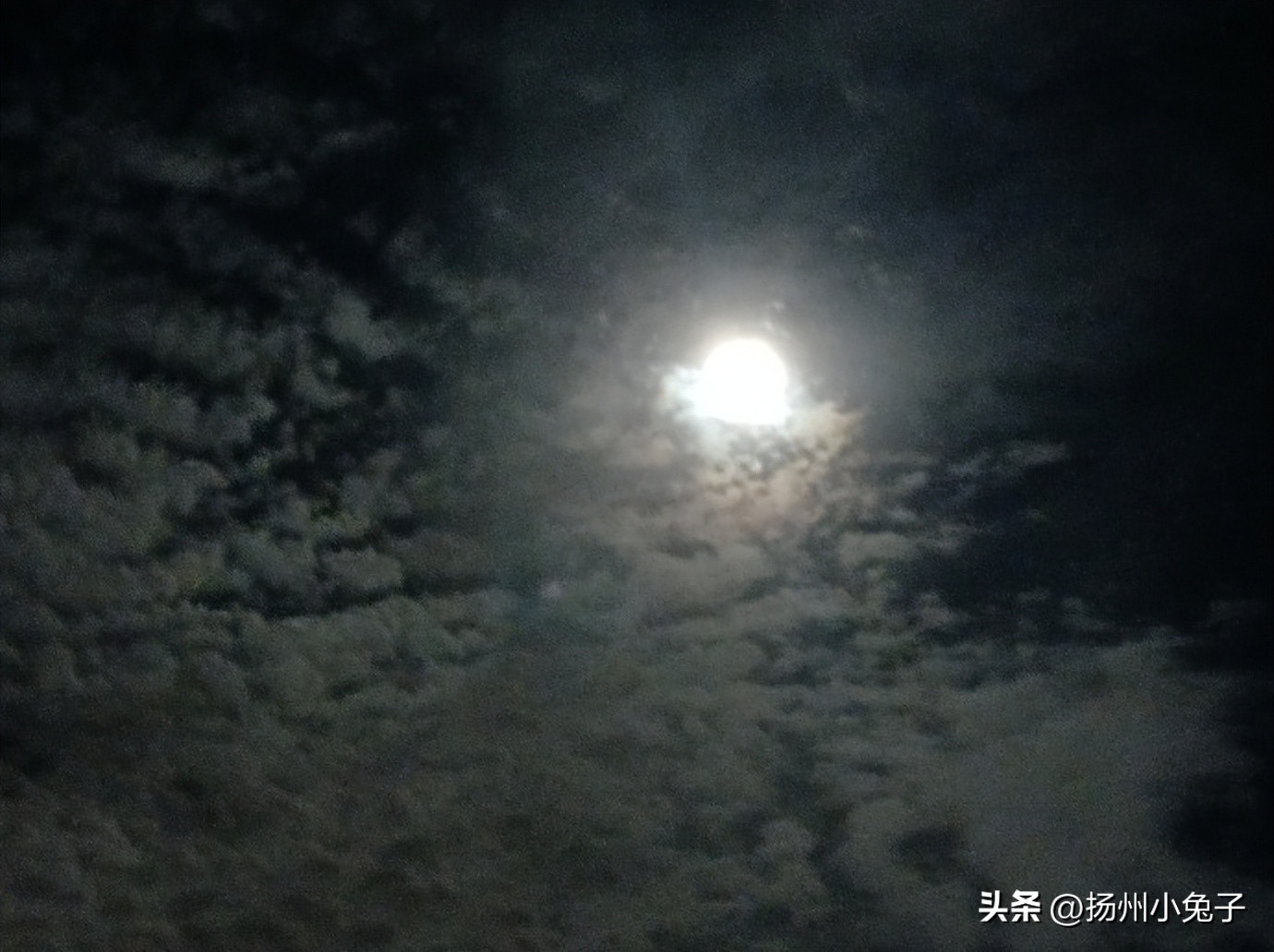 On the seventh day of the eighth lunar month, on the 7th day of the ...