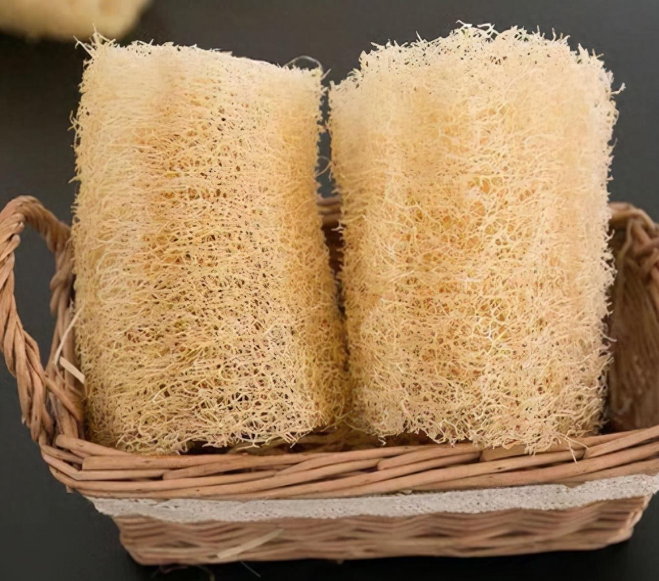 The bullet passed through the heart and lungs. The old lady used loofah ...