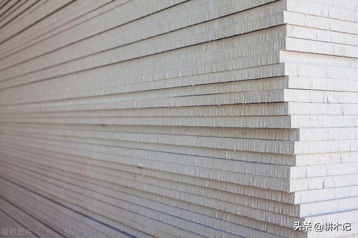 What are the characteristics of plasterboard in modern buildings? - iMedia