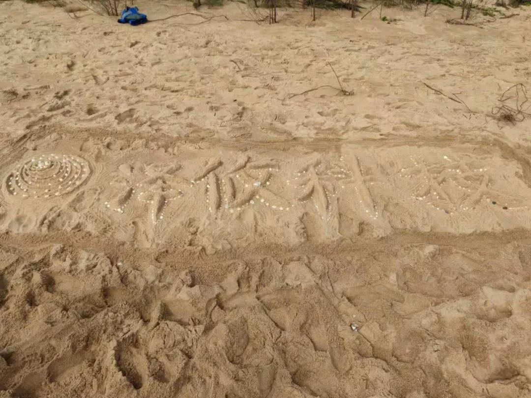 ZEM15 Desktop Scanning Electron Microscope Takes You to See the World ...