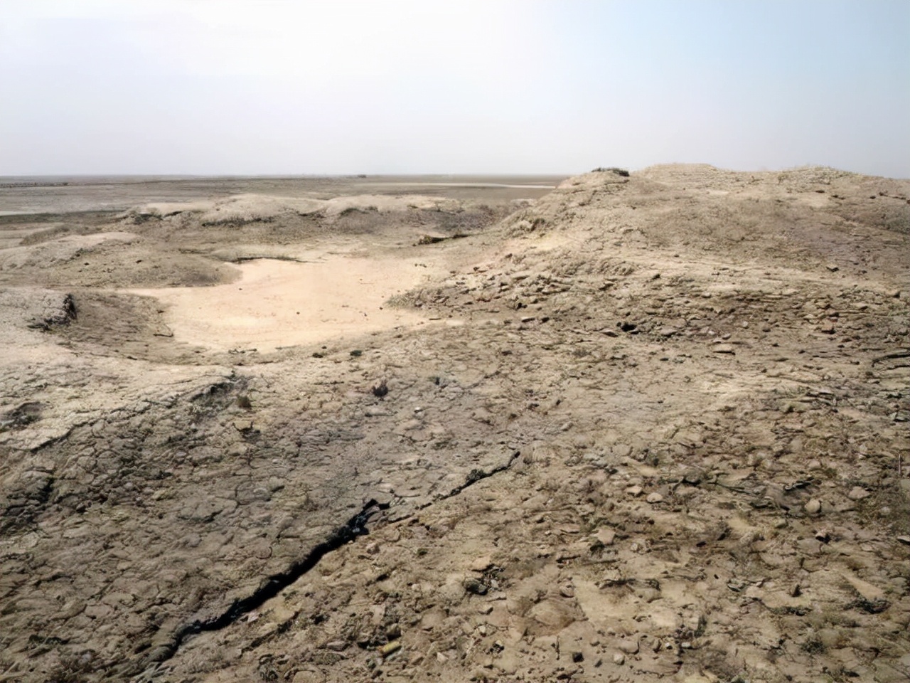 Lizard figure sculpture?Mystery of 7,000-year-old lizard-like humanoid ...