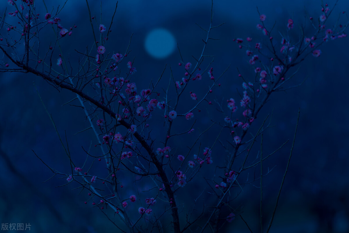 Five amazing poems, suitable for expressing mood in Moments - iNEWS