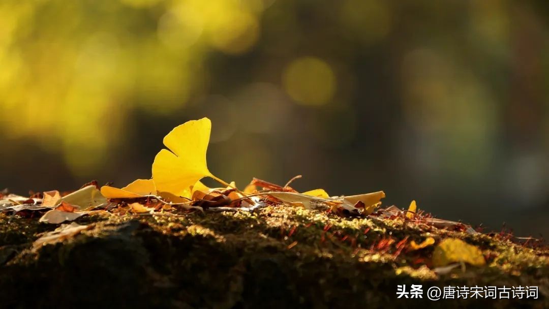In the late Tang Dynasty, a poet stayed in Chang'an for a long time ...