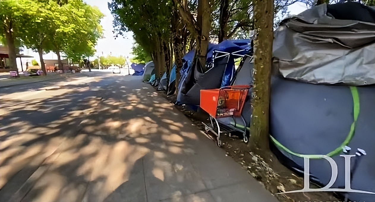 Homeless people in Seattle gathered together to disturb the residents ...