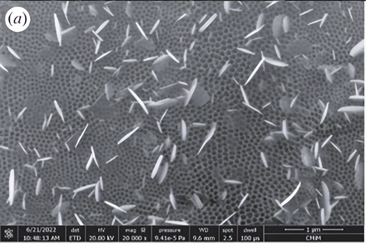 How to improve the visible light activity of titania nanotube arrays ...