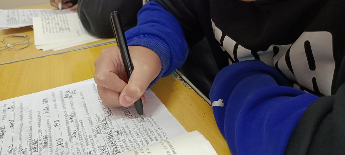Worryingly high rate of student writing errors - iNEWS