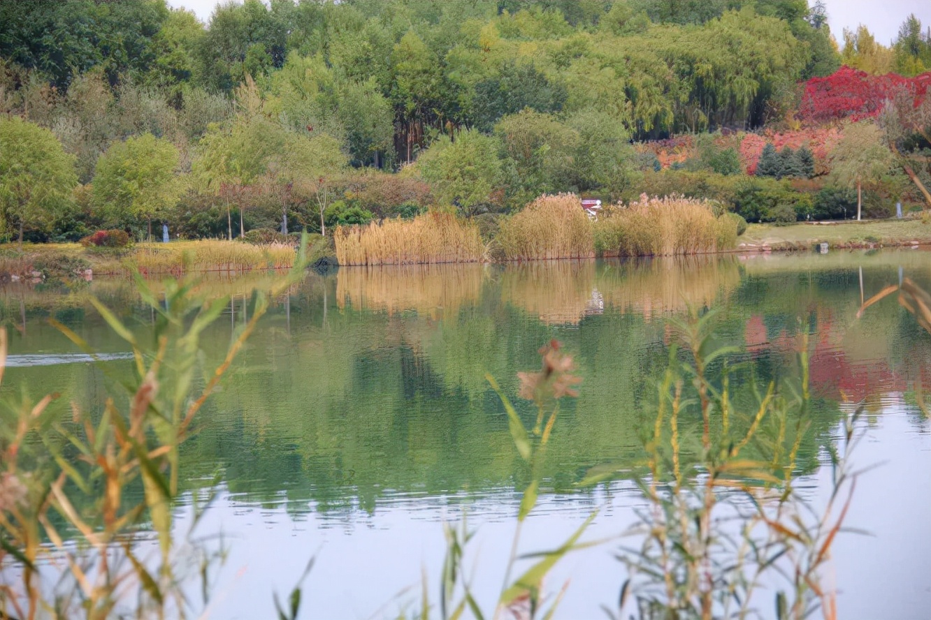 Ji Tiancai: Splendid Lushuiwan - iNEWS
