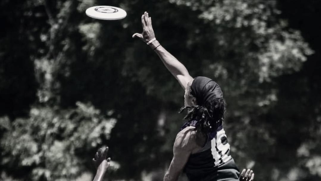 Baseball knowledge + Frisbee knowledge = ? - iNEWS