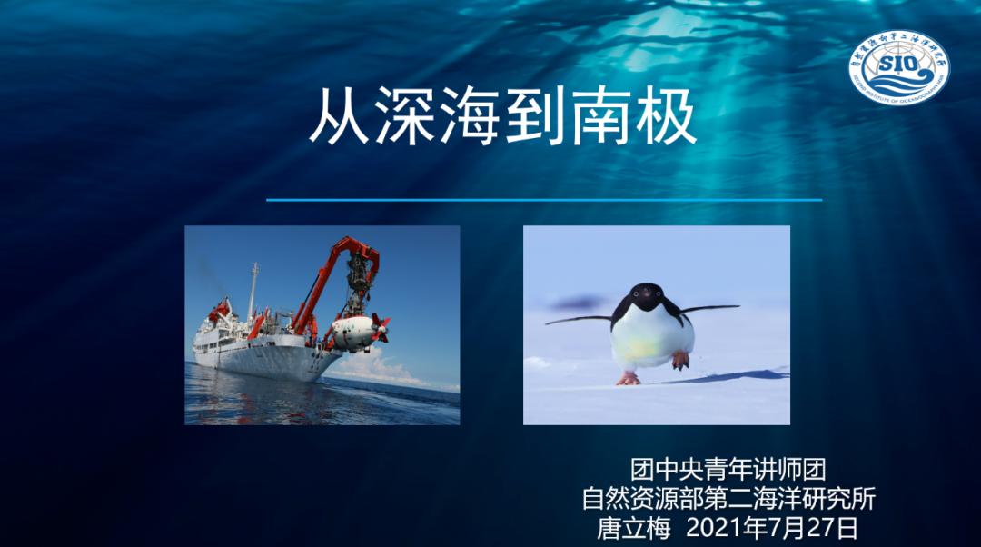 Dive into the 7,000-meter deep sea, what wonderful sights can you see ...
