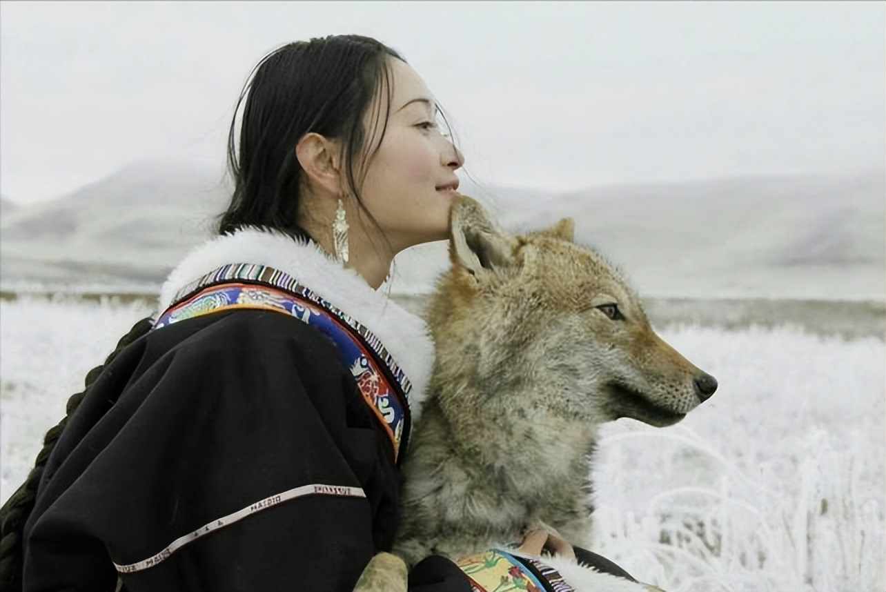 "Return to the Wolf Pack" The little wolf was raised by humans ...