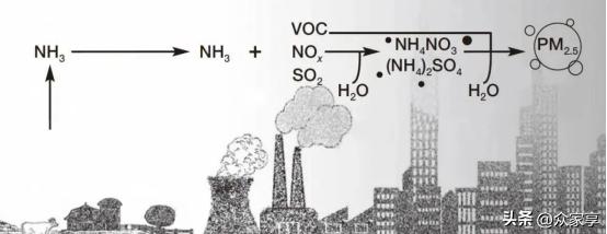 Why can air purifiers degrade odorous gases? - iNEWS
