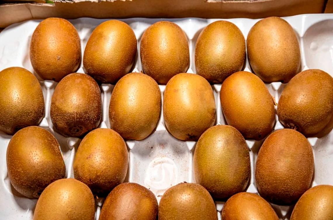 What will happen if you eat 1 kiwi a day? skin will get better? Will ...