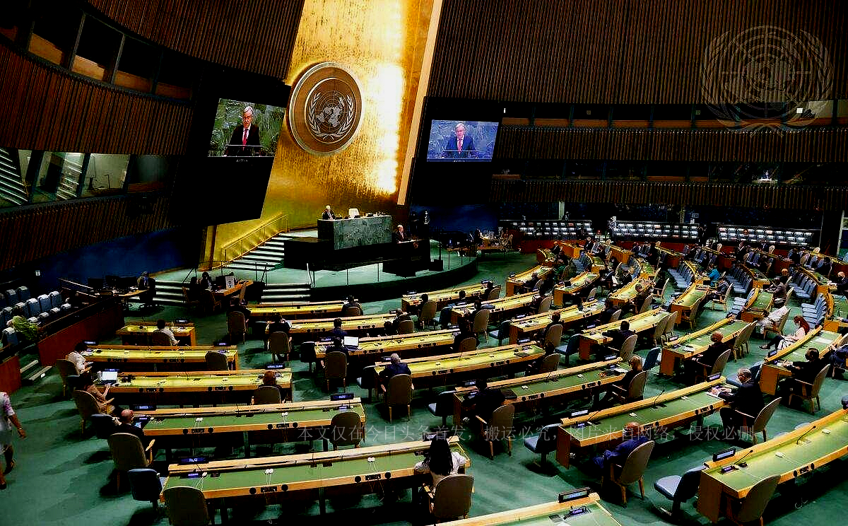 The UN General Assembly unanimously passed a resolution, and the veto ...
