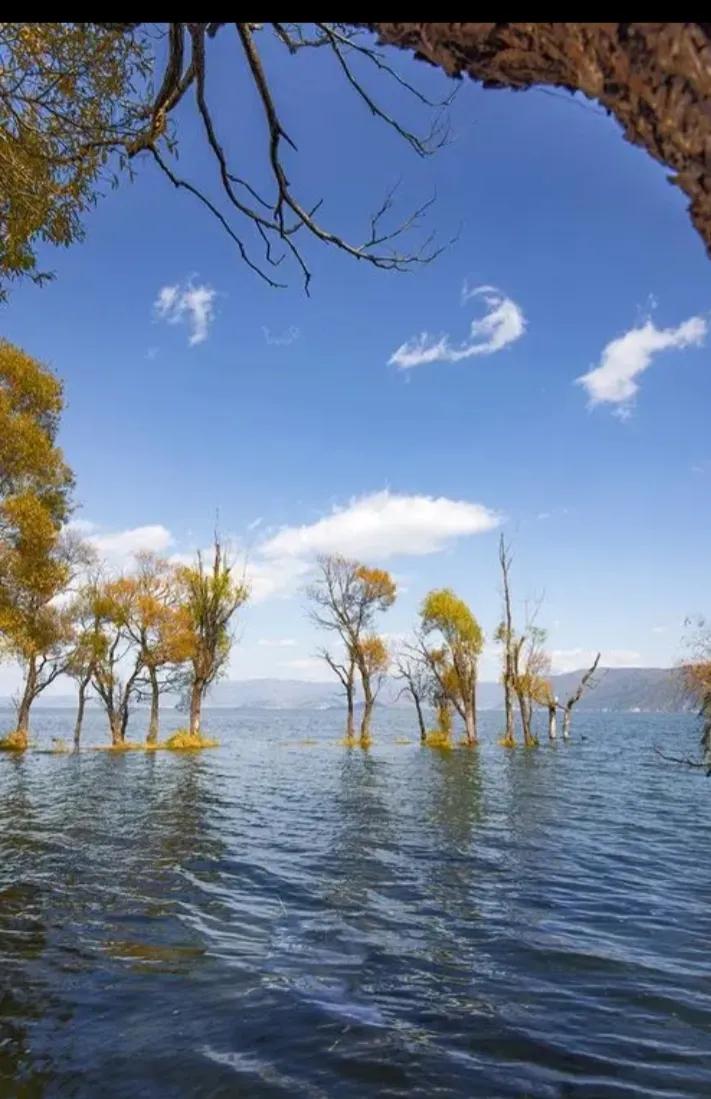 Did you know there are several categories of photography?Photography ...