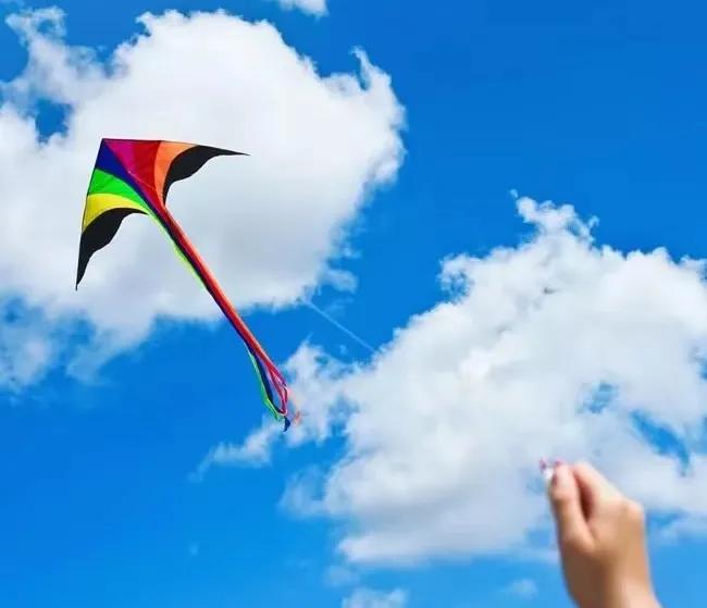 When the kite can't fly into the sky, it will throw itself into the ...