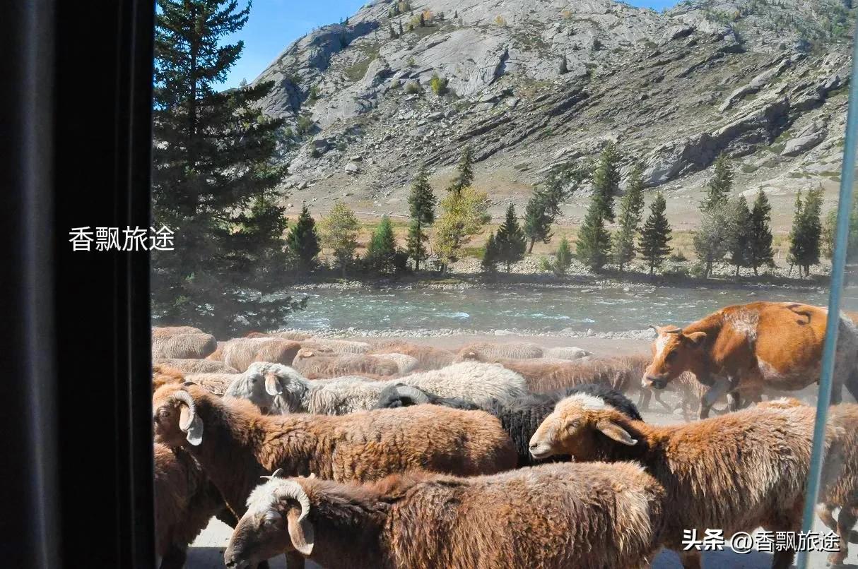 Xinjiang Fuyun (2) Keketuohai - iMedia