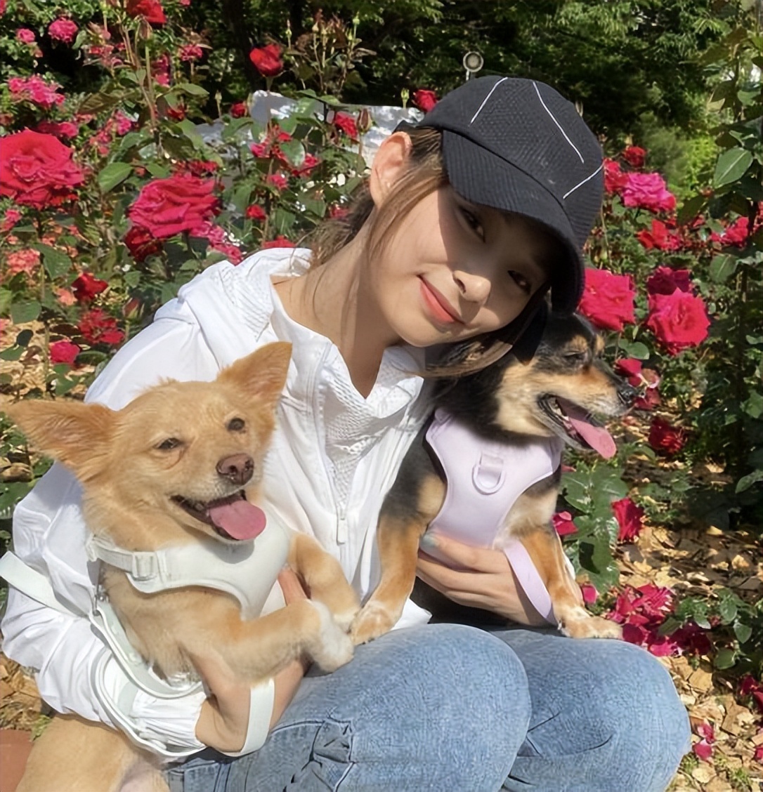 Zhou Ziyu suspects a secret love for a member of SEVENTEEN! One of the ...