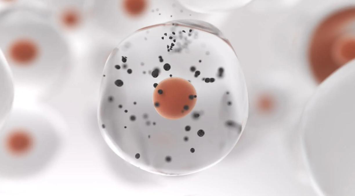 Women's private parts are black, is it really "experienced" too much ...