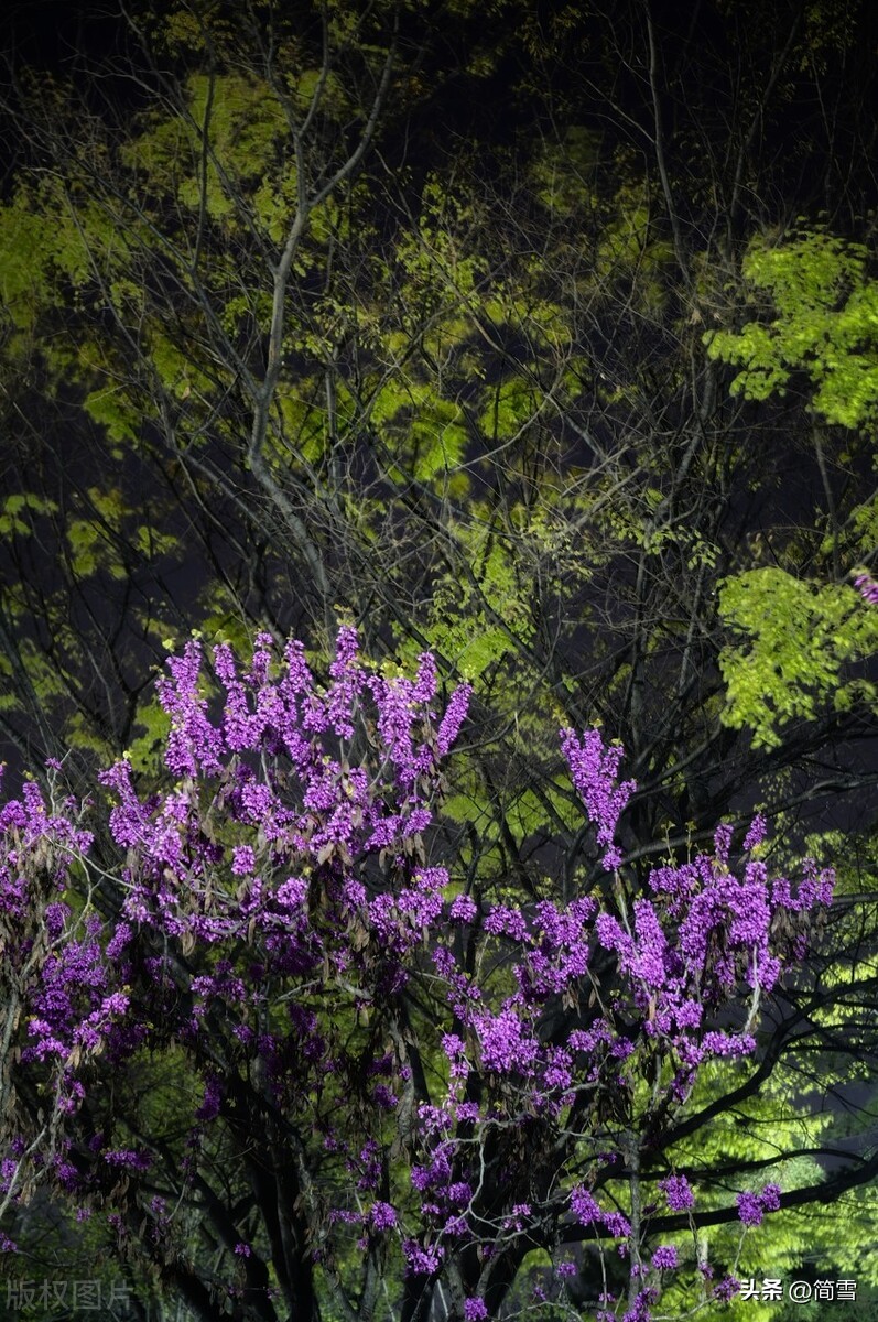 A landscape poem written by Wang Wei expresses the beauty of the spring ...