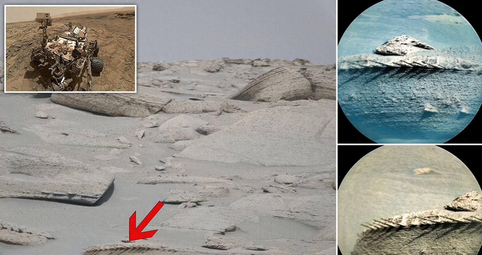 Prehistoric creature skeleton? Curiosity discovered weird spikes. Is ...