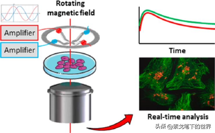 Discovering the magic of "magnetism": An analysis of the principles ...