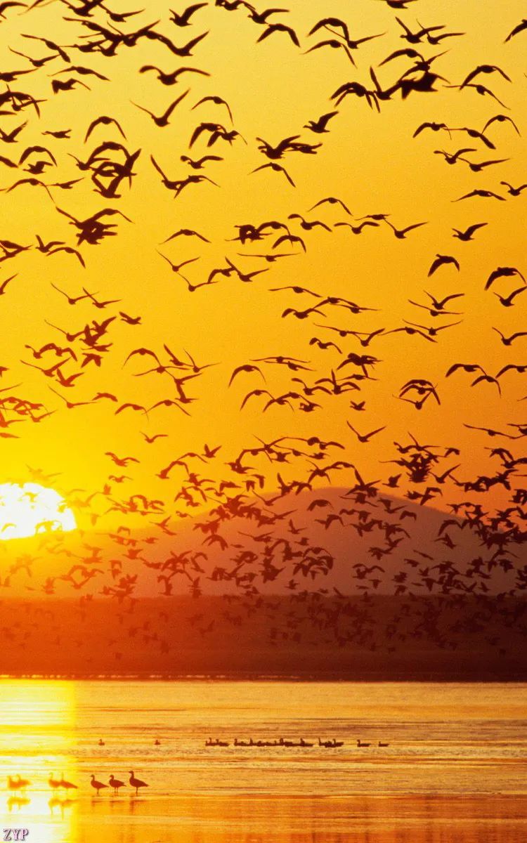 It's spectacular! 100 of the most beautiful photos in the world! - iMedia