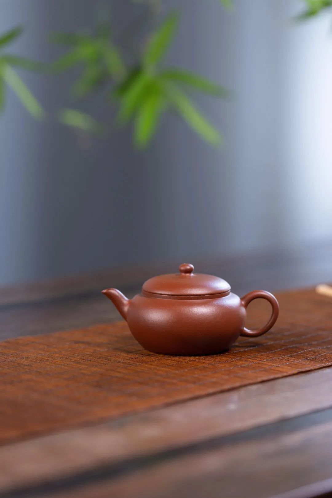 Persimmon Garden Horizontal Pot - iNEWS