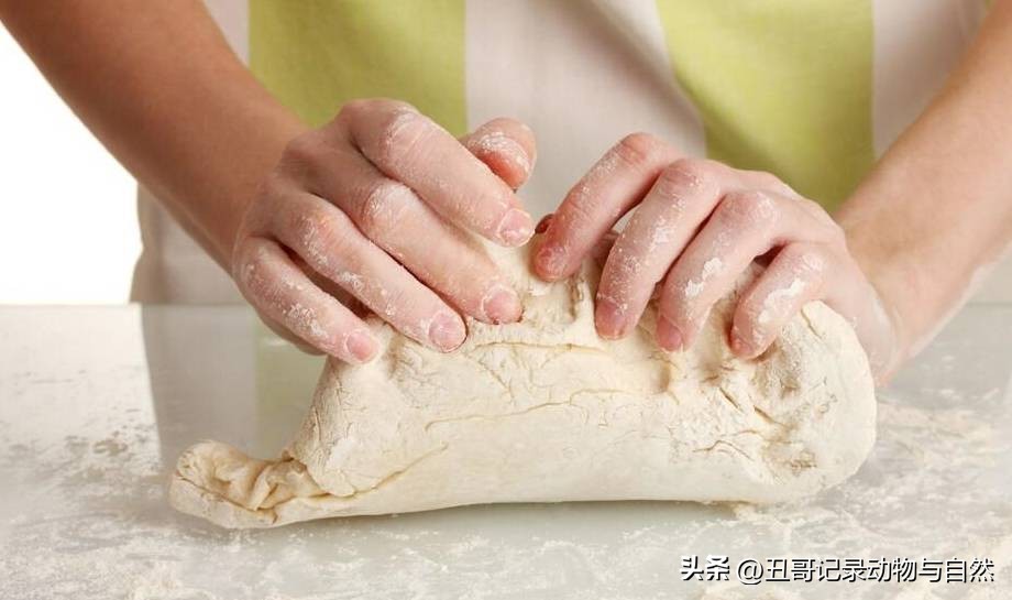 Teach you kneading skills, the method is simple and effortless - iNEWS