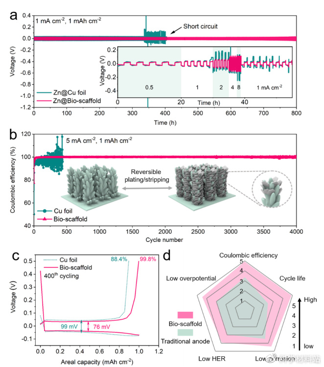 Biomimetic design of current collectors enables dendrite-free ...