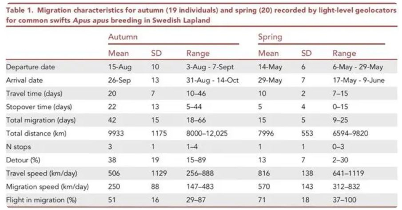 The "footless bird" Swift sleeps while flying all its life, and landing ...