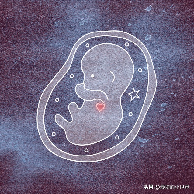 Finding Alien Life Depends on How We Define 'Life' - iMedia