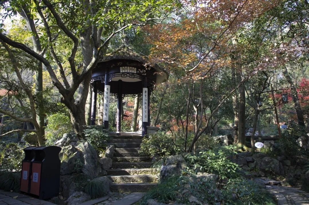 I said that it is the top stream of spring in Hangzhou, right? - iNEWS