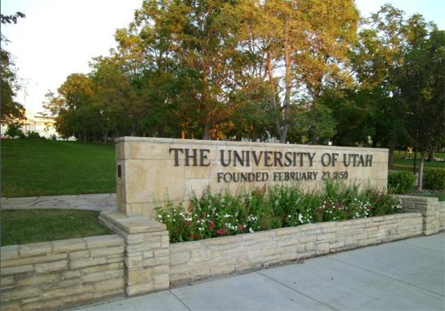 In 2017, Tang Xiaolin, a 32-year-old talented girl from Peking University, jumped off the Golden ...